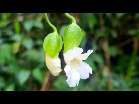 enjoy with nature