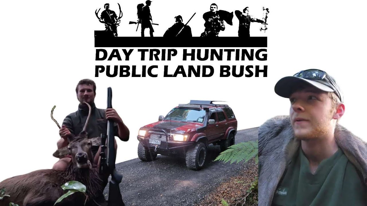 Public Land Hunting For Red Deer - YouTube