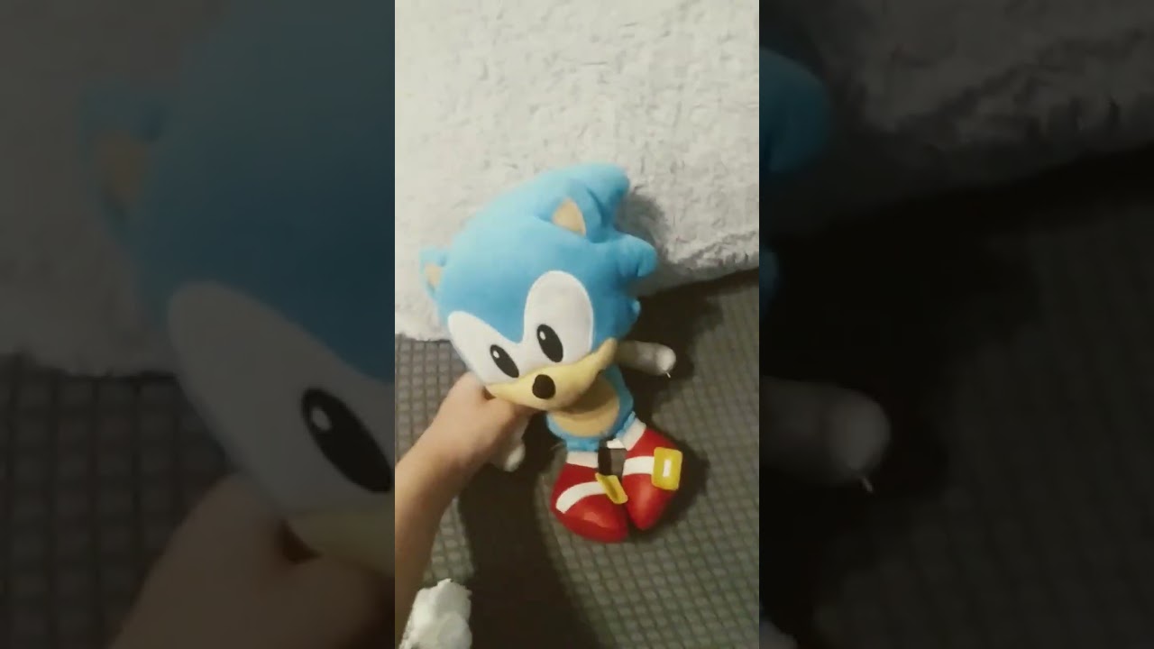 sonic pets and loves the dog - YouTube