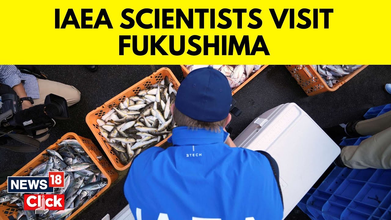 Fukushima Water Release | Scientists Test Fukushima Fish After Nuclear ...