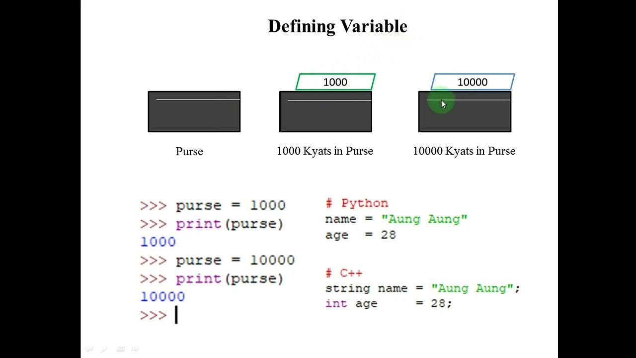 Python's Variable and Datatype - YouTube
