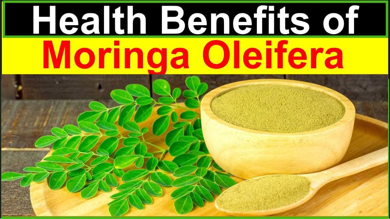 MORINGA - The Healthy Superfood | Health Benefits of Consuming Moringa ...