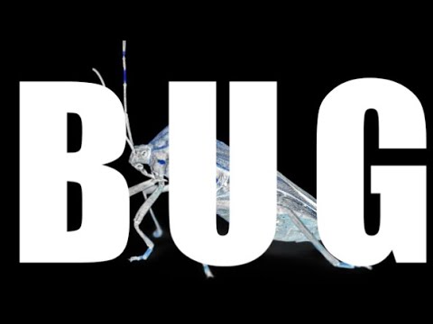 VERONICA VERONICO "BUG" (AI visualize video) - YouTube