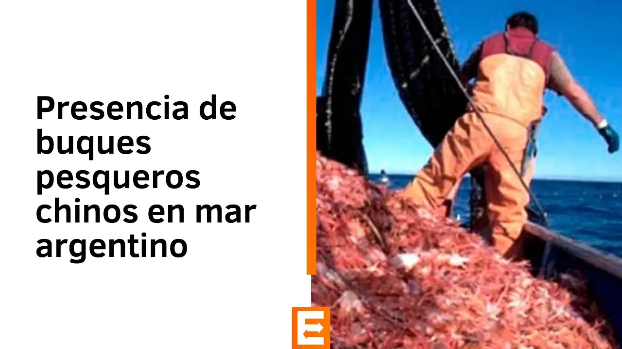 Daniel Coluccio | Presencia de buques pesqueros chinos en mar argentino ...
