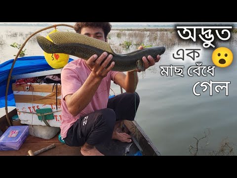 The Easiest Way To Catchfish is With a Hook.What is the most attractive ...