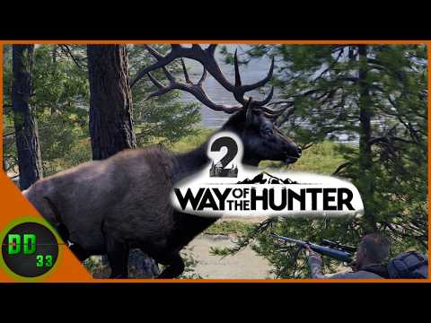 Wir haben in Way of the Hunter 2 eine ganze Herde ausgewachsener Elchbullen entdeckt! (Früher Zug...
