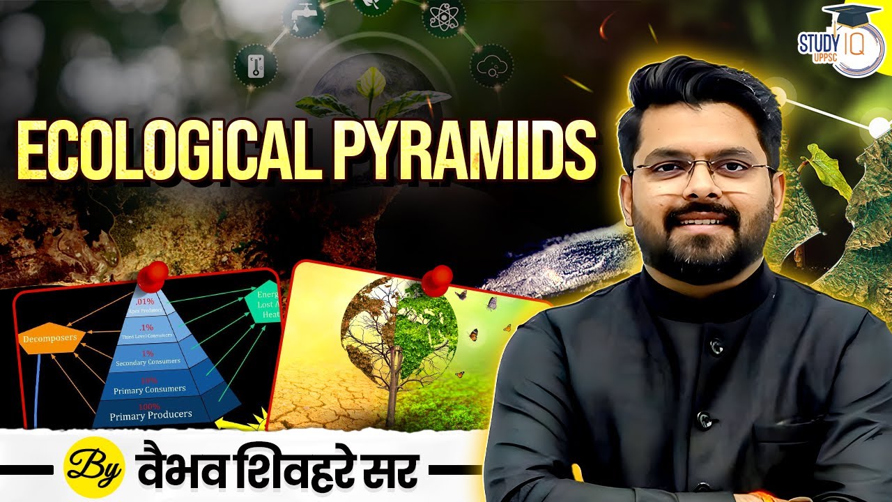 Ecological Pyramids in Ecosystem | Types of Ecological Pyramid Energy ...