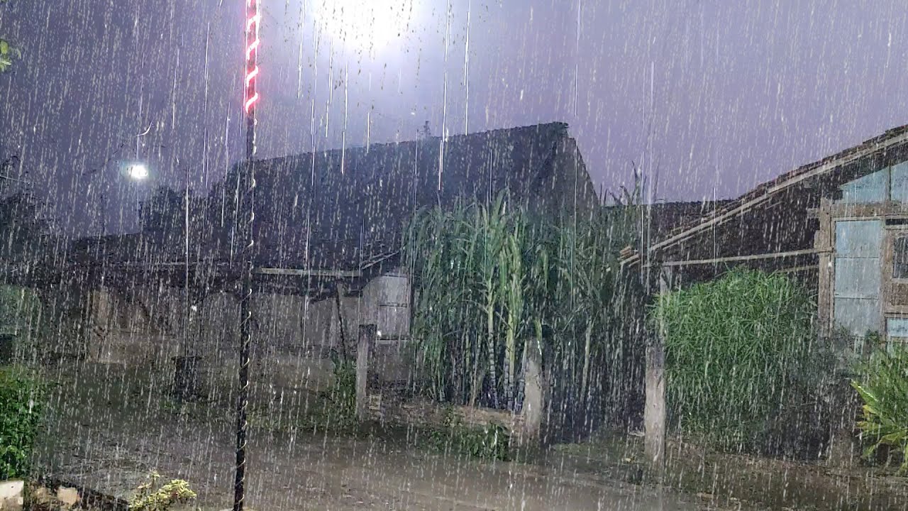 Real Heavy Rain Sounds in a Village at Night for Sleep and Self ...