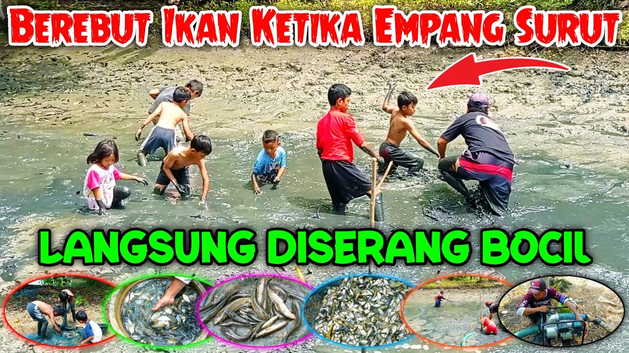 Keseruan Nguras Empang Bersama Para Bocil - YouTube