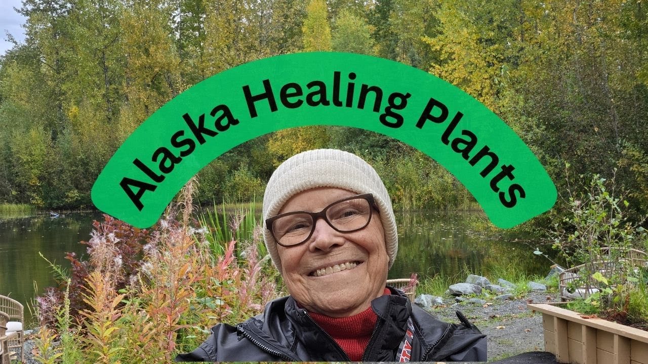 Healing Plants Tour at Alaska Native Heritage Center - YouTube