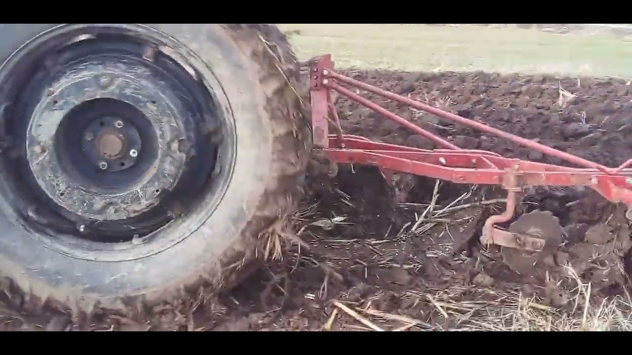 imt 5136 oranje plug leopard 3 35 - YouTube