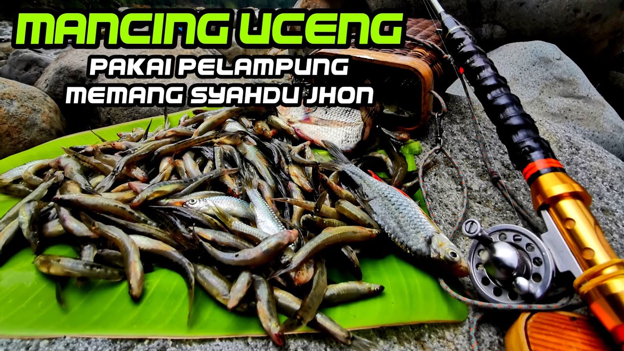 PANEN STRIKE.. Mancing dengan tehnik pelampung memang asik (micro ...