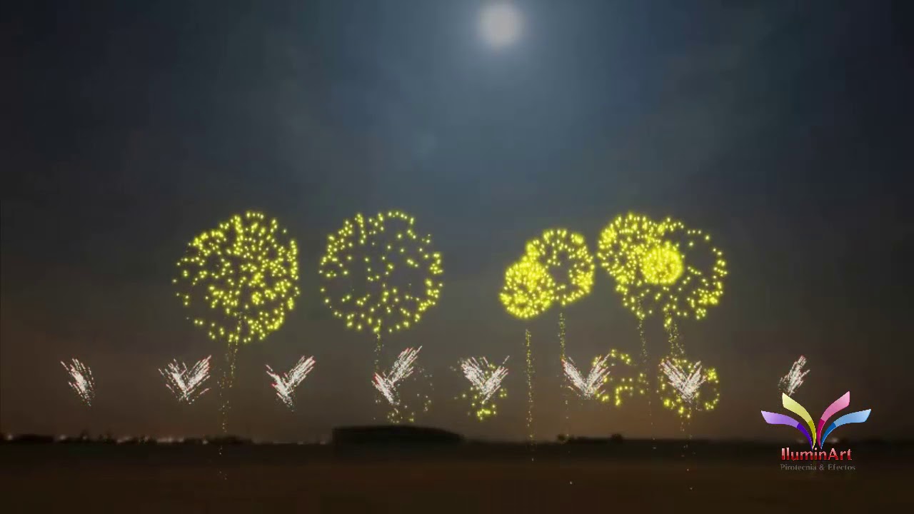 Simulacion FWsim Pro - YouTube