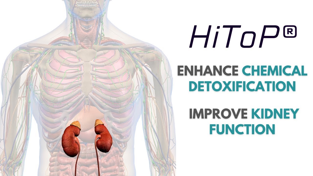 Chemical Detoxification and Kidney Function Improvement with HiToP ...