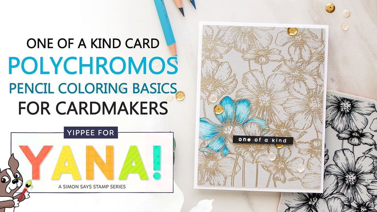 Yippee For Yana Series! Polychromos Pencils Coloring Basics for ...