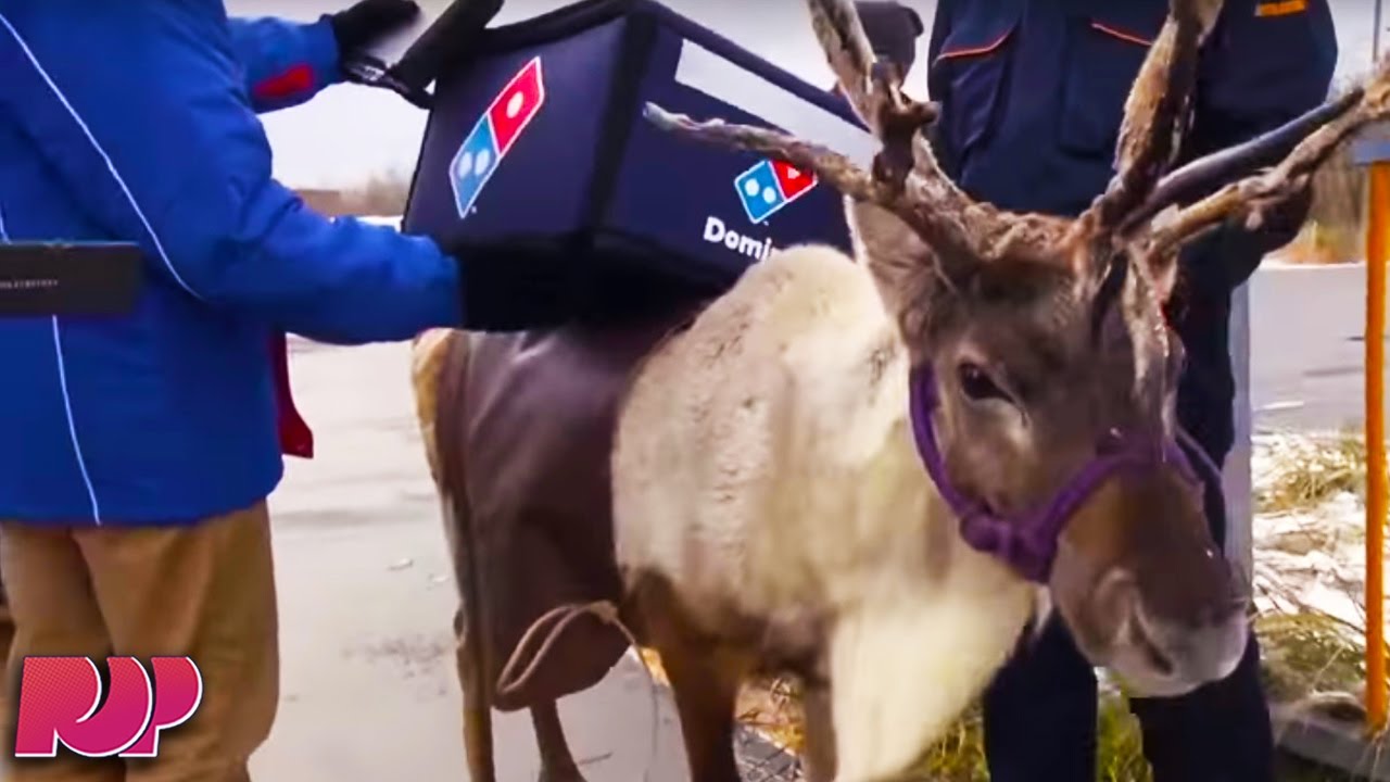 Domino's Japan Is Training Reindeer To Deliver Pizza - YouTube