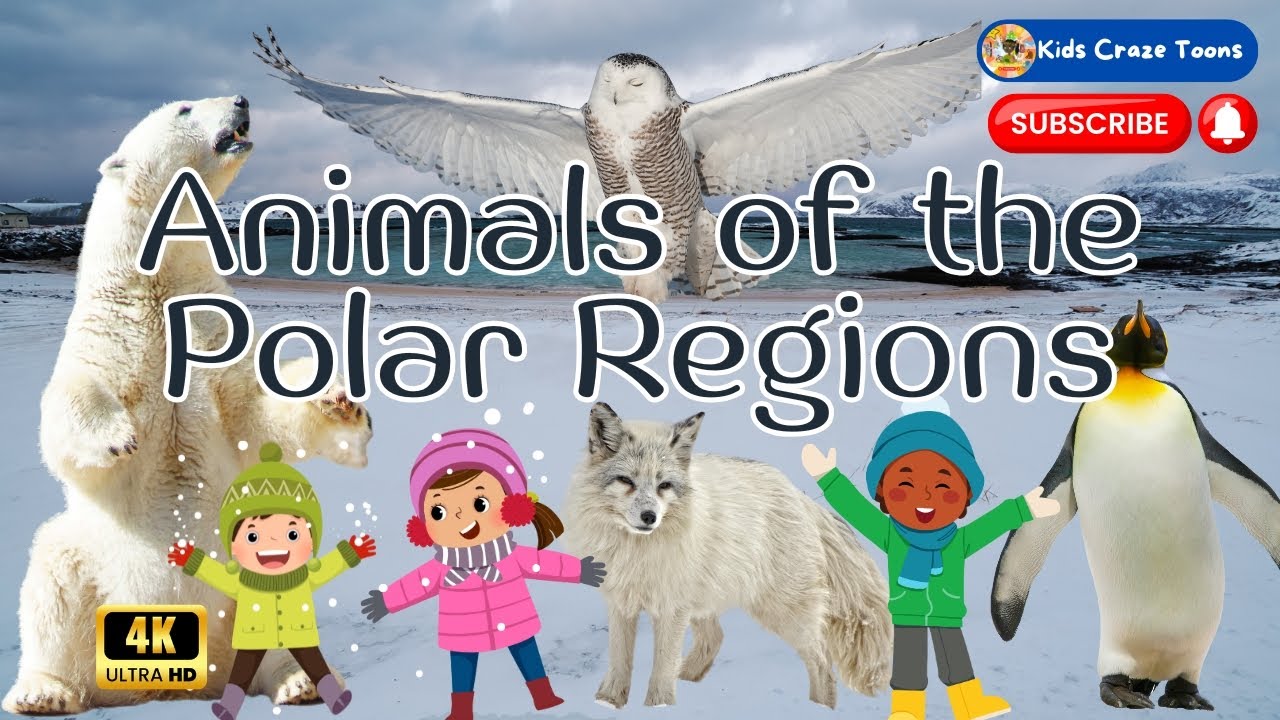 ️🌎 Explore Polar Animals for Kids | Discover the Arctic & Antarctica ...
