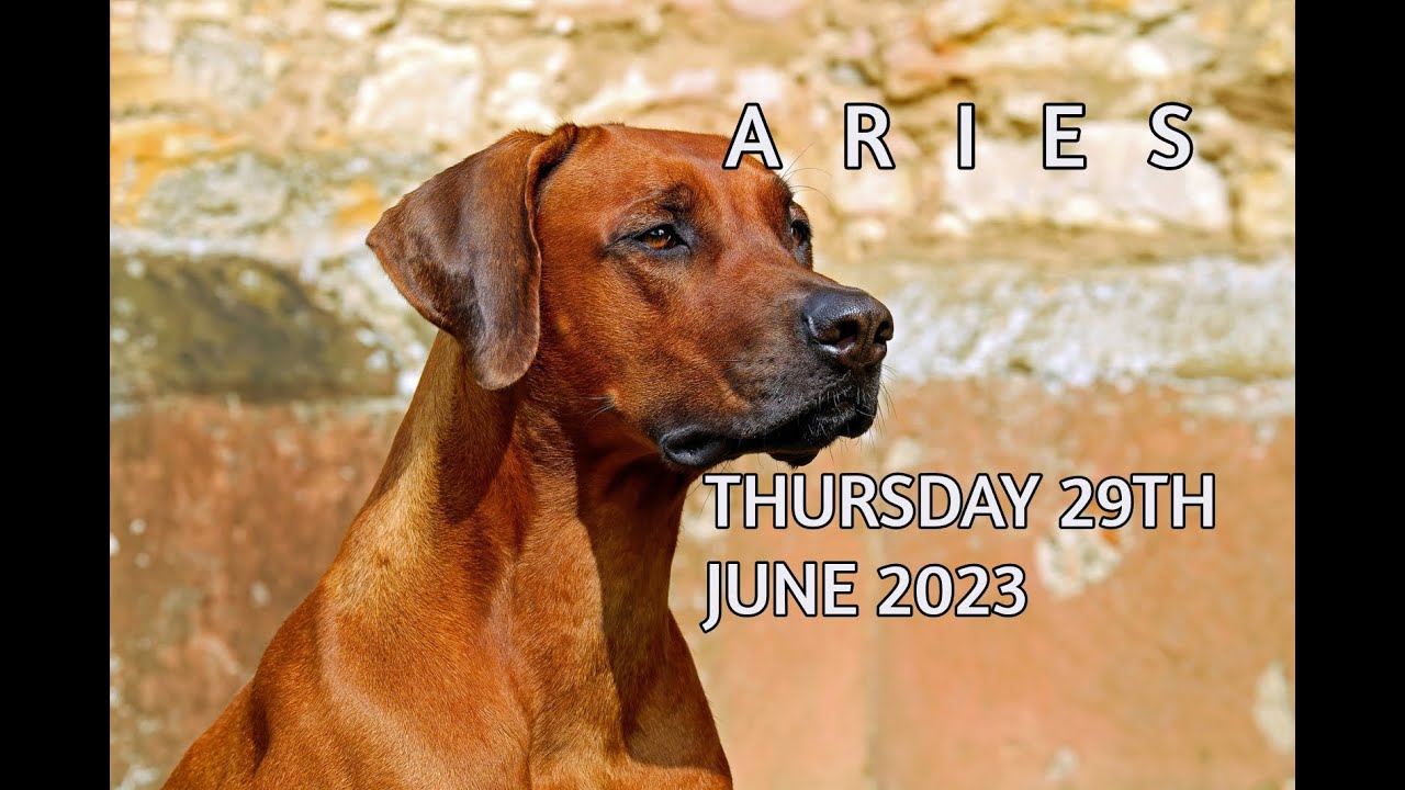ARIES | THURSDAY JUNE 29TH 2023 | DAILY TAROT READING - YouTube