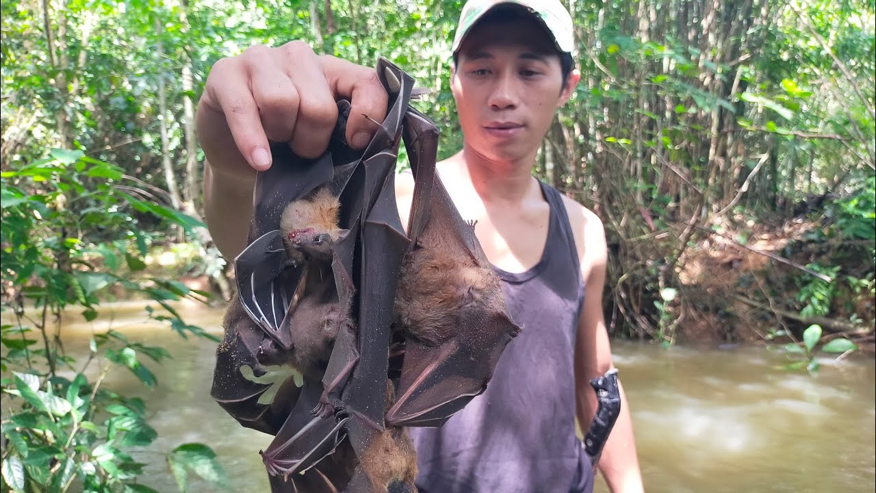 Suku Dayak || Berburu Pakai Jaring, Dapat Hasil Buruan Langsung Masak ...