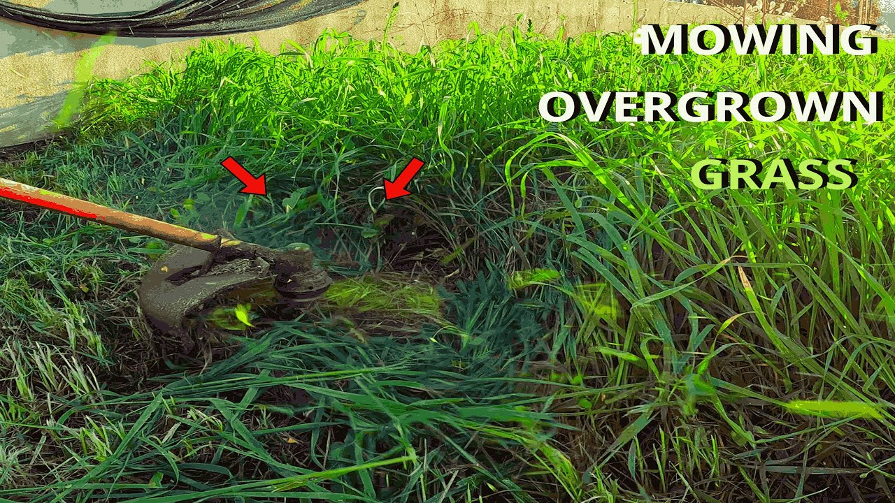 Mowing really overgrown grass on the field #mowinggrass #mowing # ...