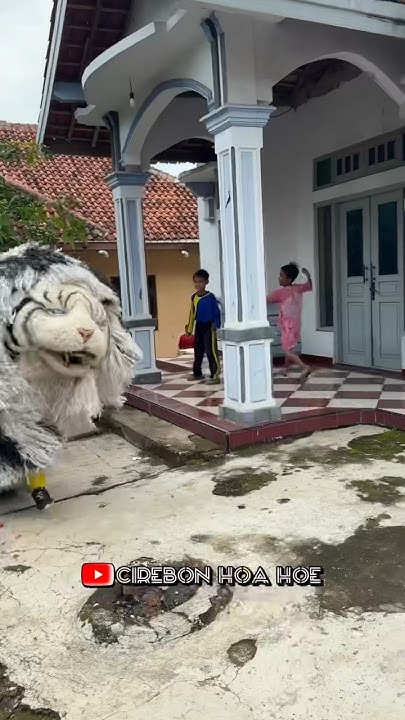 Can Macanan Kejer Pasukan Bocil FF ️ - YouTube