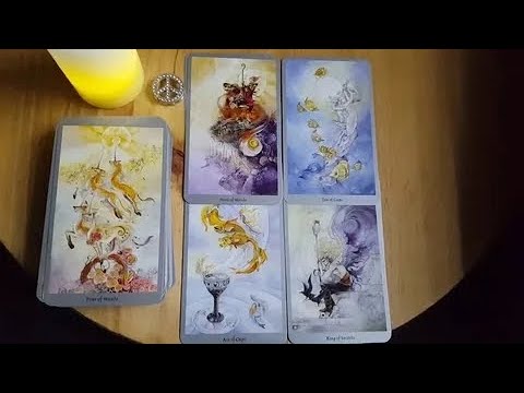Tarot Josnell Universo - YouTube