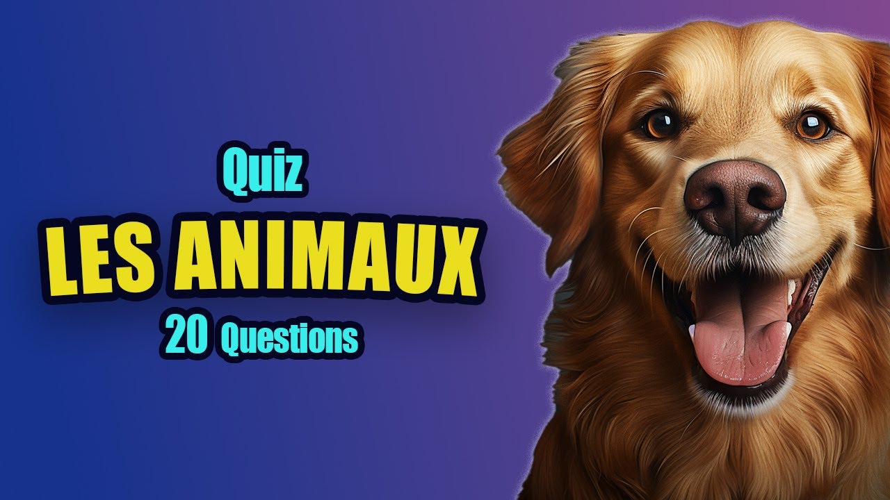 QUIZ : Connais tu les ANIMAUX ? I 20 Questions pour te TESTER - YouTube
