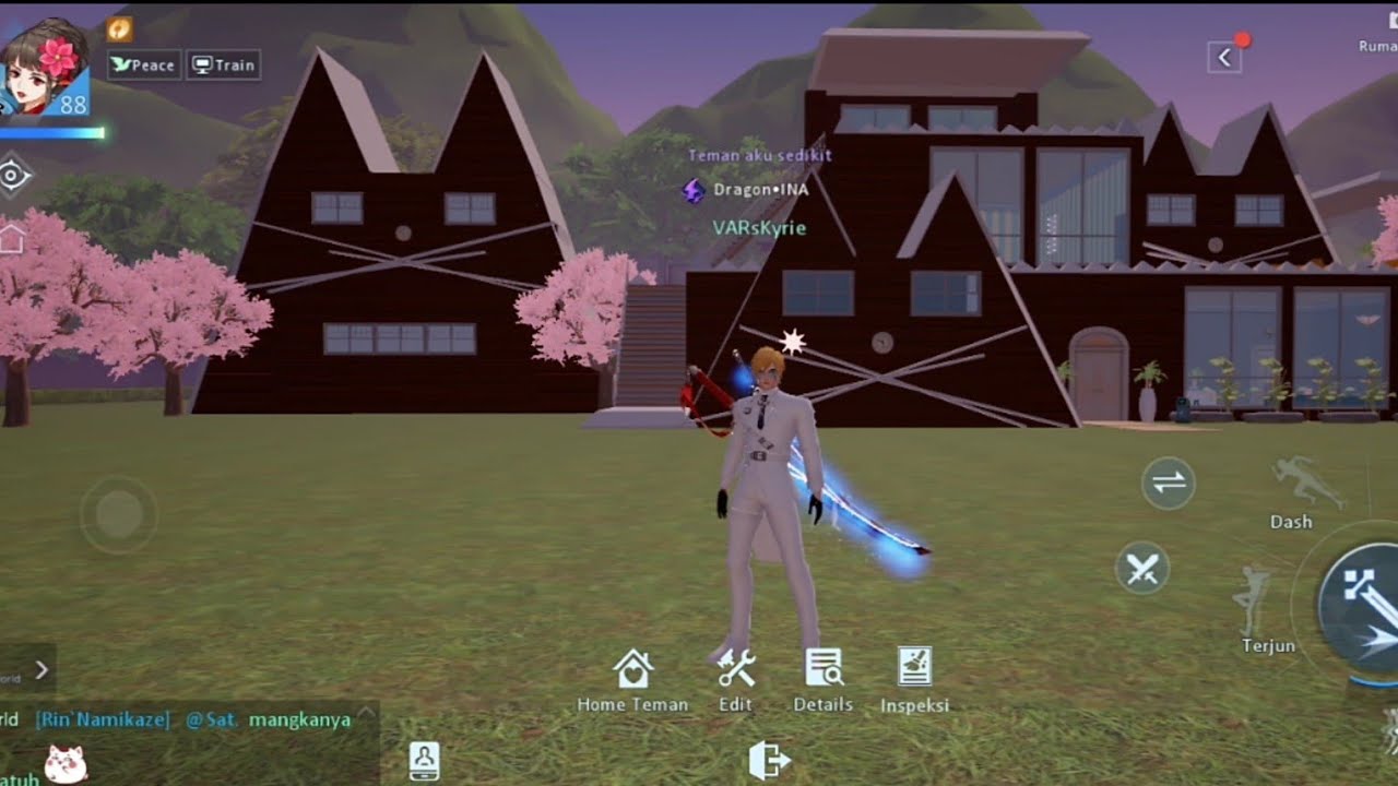 Cute Home Cat Dragon Raja, - YouTube