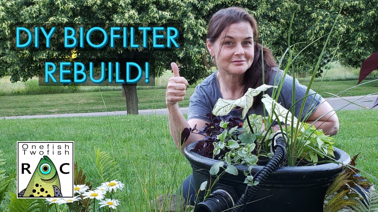 DIY Water Garden - Pond Biofilter | [How to - Cheap & Easy] - YouTube