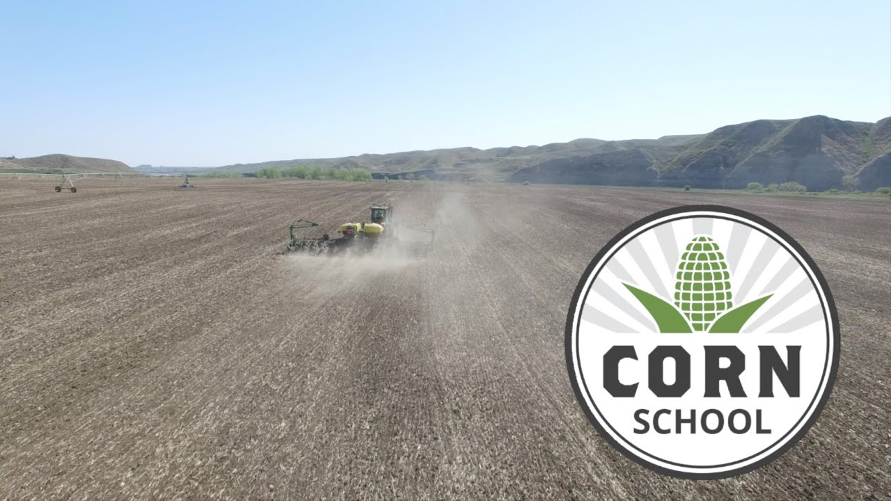 Corn School: Yield-boosting strategies heading into a dry year - YouTube