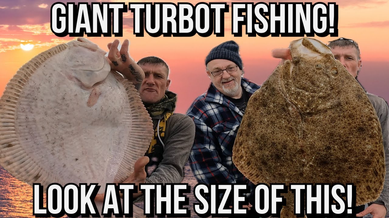 Turbot Fishing UK: Giant Turbot EATS My Big Bait! - Sea Fishing UK ...