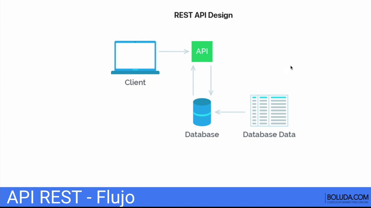 Curso de la API de WordPress - YouTube