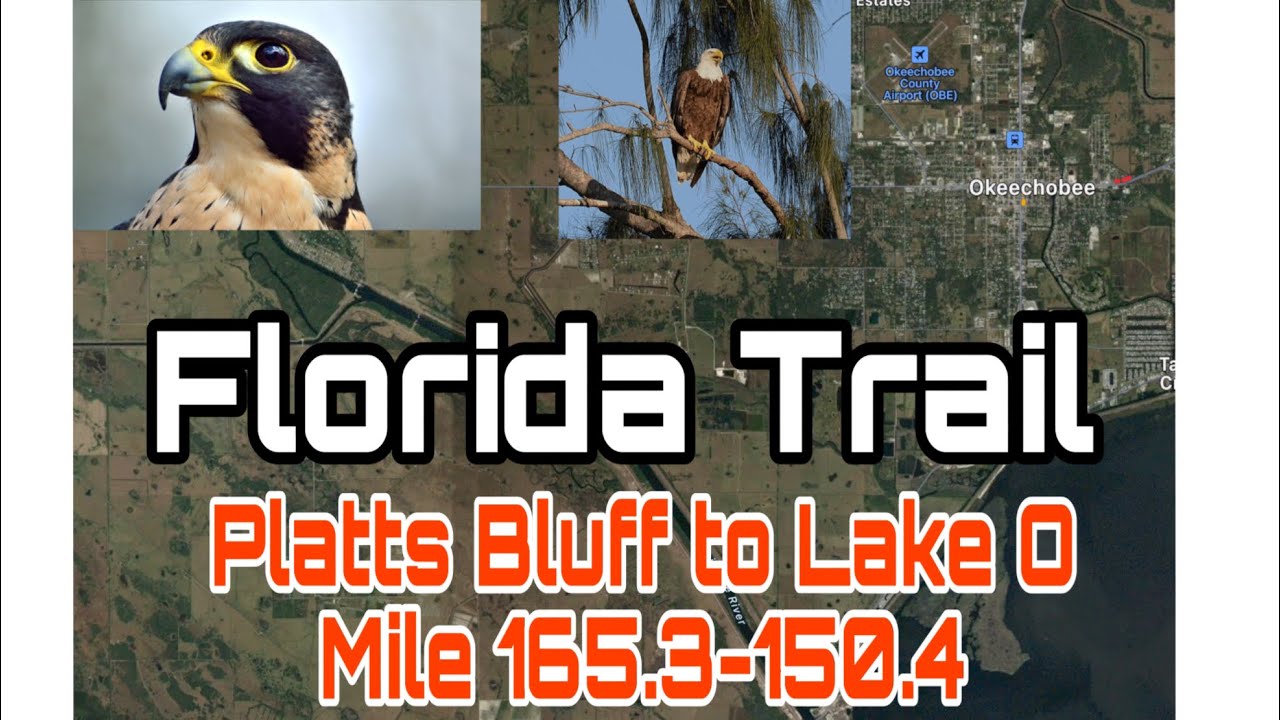 Florida Trail - Platt Bluff to Lake Okeechobee mile 165.3 -150.4 - YouTube