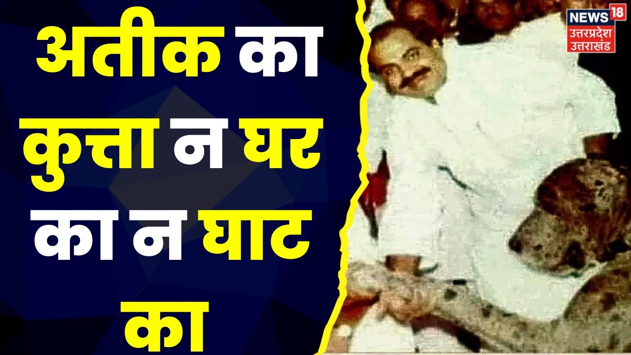 Atiq Ahmed Dogs : अतीक अहमद ने विदेशी मूल के कई कुत्तों को पाल रखा था ...