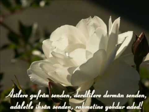 Ey Yerin Göğün Sahibi! Siir