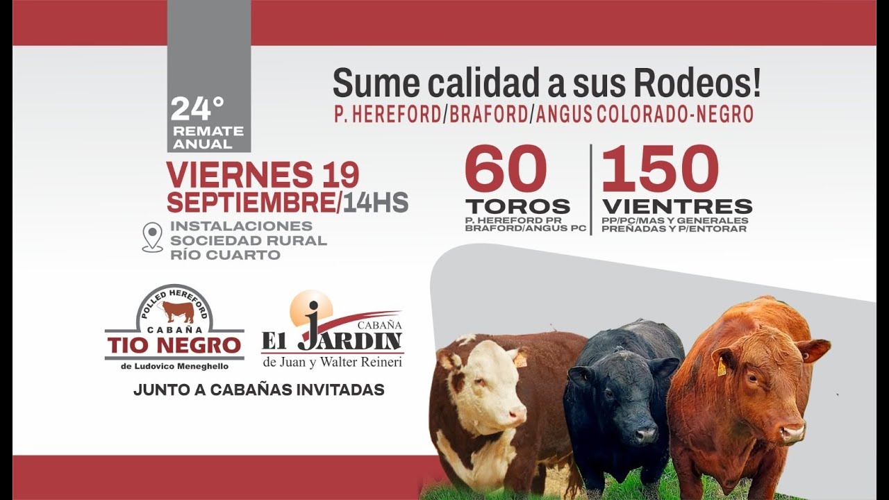 🔴EN VIVO | 24° REMATE ANUAL CABAÑAS TIO NEGRO y EL JARDIN - TALANO ...