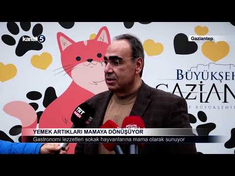 Yemek Artıkları Mamaya Dönüşüyor