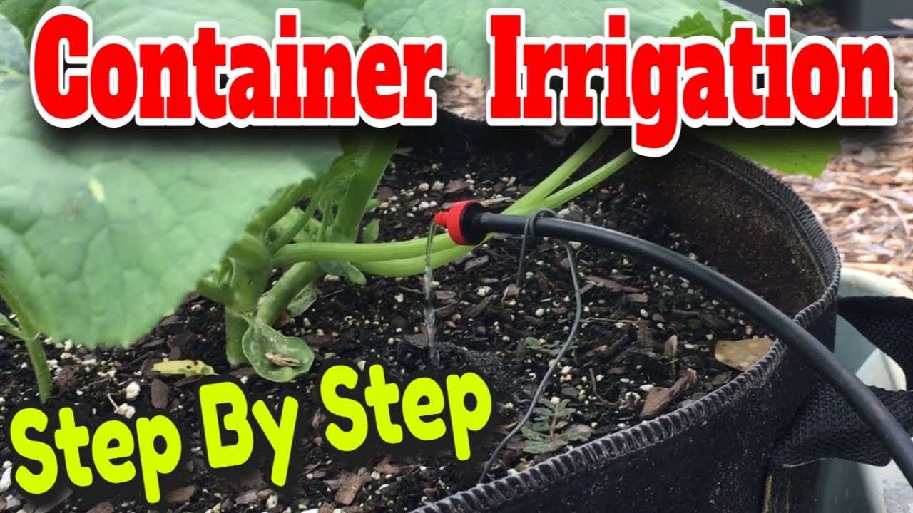 💦 INSTALLING AN AUTOMATIC IRRIGATION SYSTEM FOR CONTAINER VEGETABLES OR ...