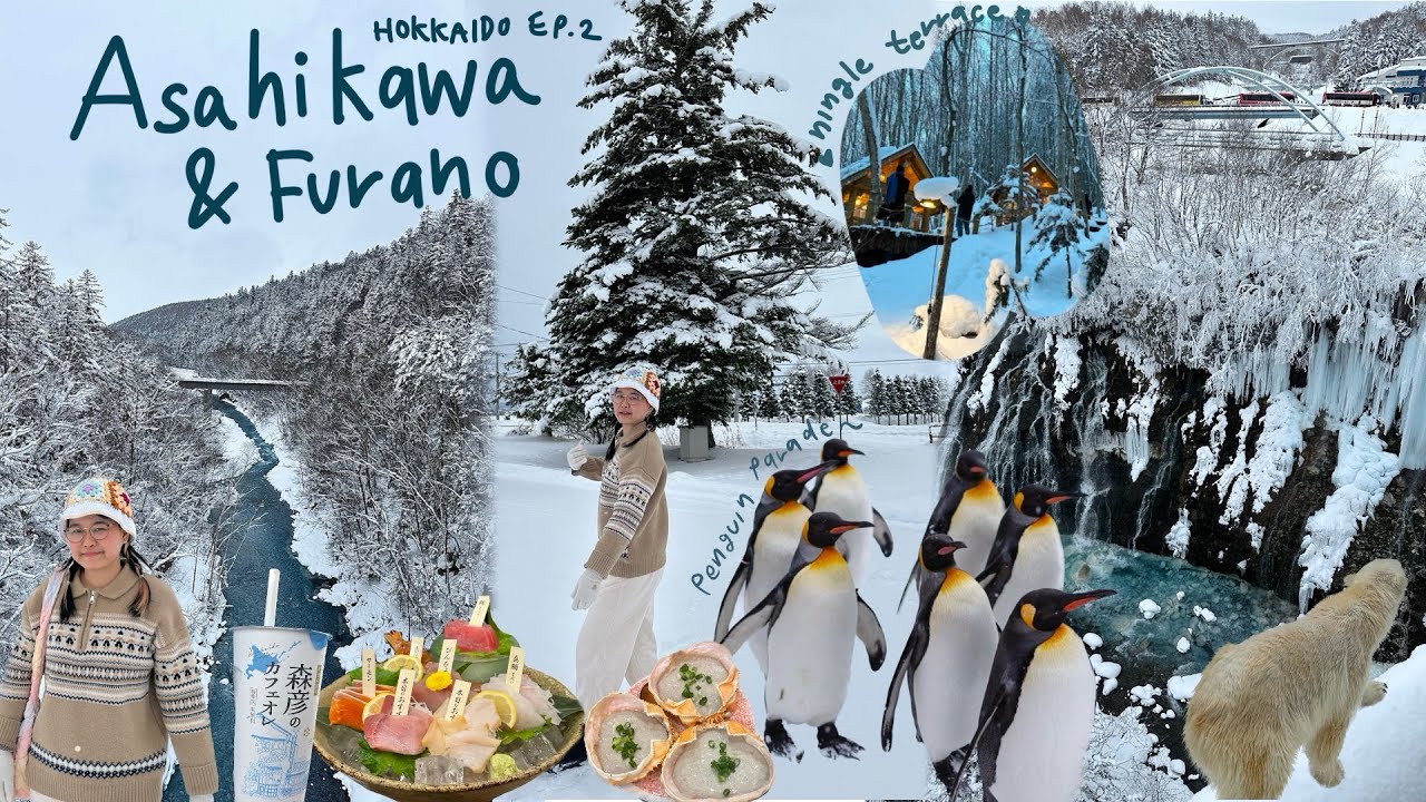 [🇯🇵Hokkaido EP.2]Asahikawa, Biei & Furano one day trip. Penguin Walk ...