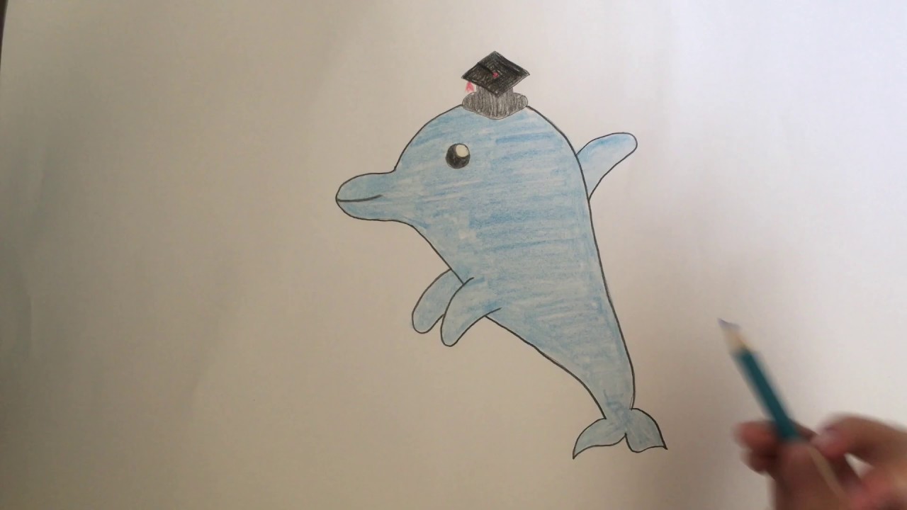 Dolphin Wearing a Graduation Cap - YouTube