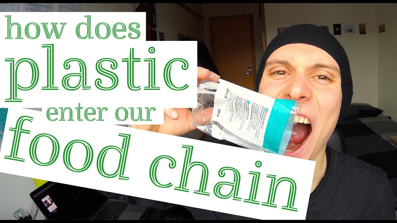 How does PLASTIC enter our FOOD CHAIN? - YouTube