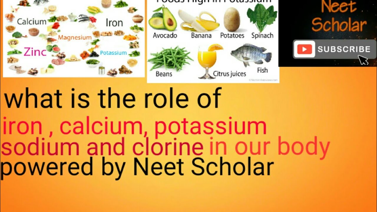 What is the role of iron, calcium, potassium, sodium and clorine in our ...