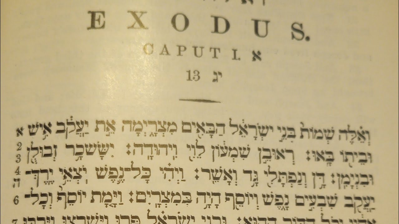 Torah Exodus Chapter 36 Verses 1 - 7 - YouTube