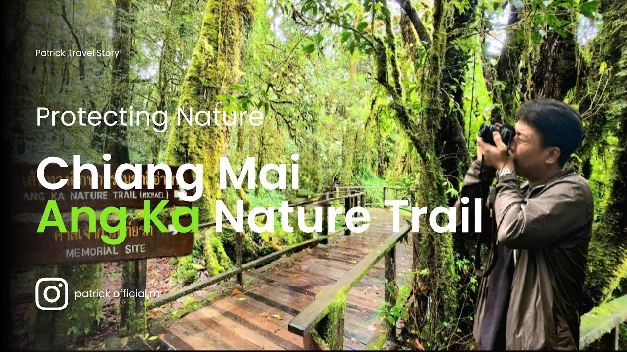 သဘာဝအသံတွေနဲ့ Chiang Mai Mai Ang Ka Nature Trail လမ်းလျှောက်ခြင်း ...