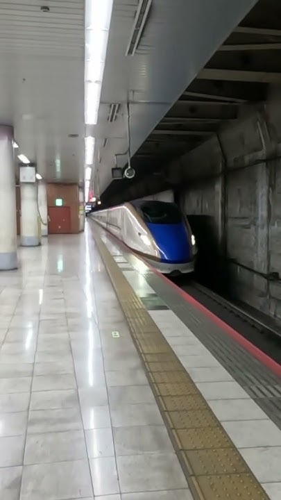 E7系とき310号東京行き 上野駅入線 - YouTube
