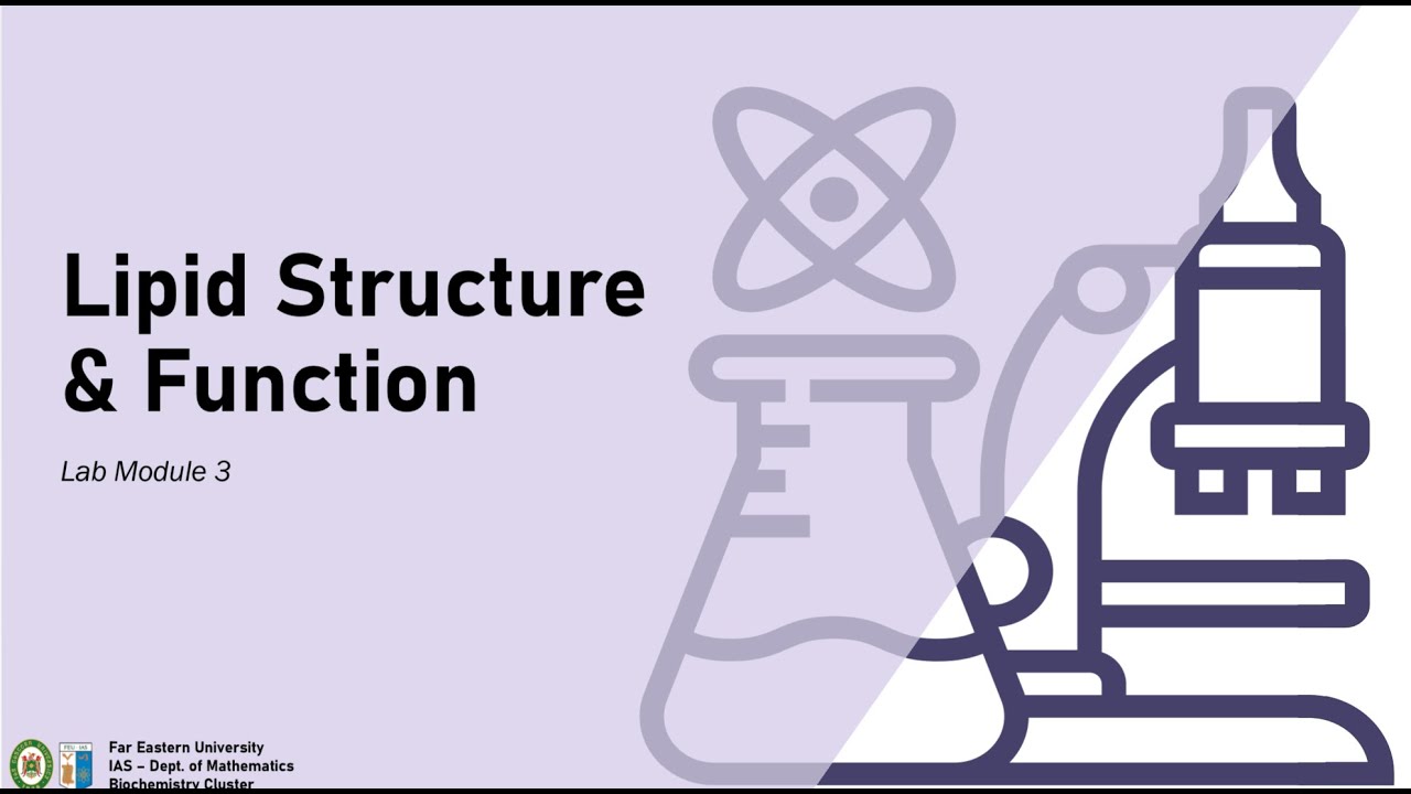 Lipid Structure and Function - YouTube
