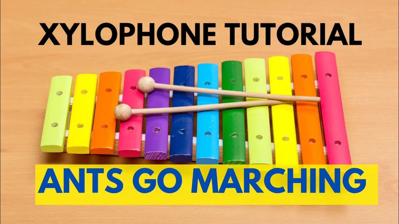 How to Play THE ANTS GO MARCHING Song on Xylophone | Easy Xylophone ...
