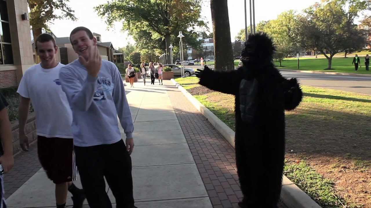 High-Five My MONKEY! - YouTube