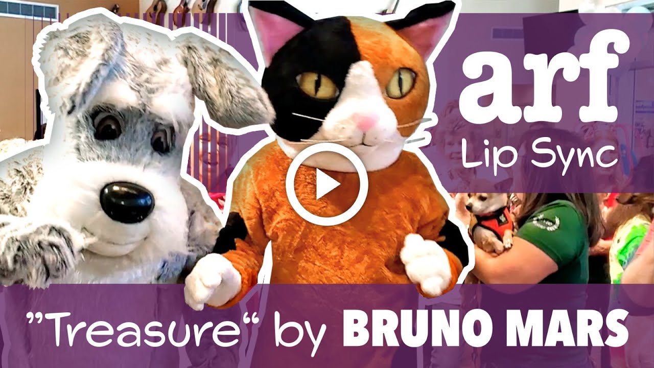 ARF Lip Sync - "Treasure" by Bruno Mars - YouTube