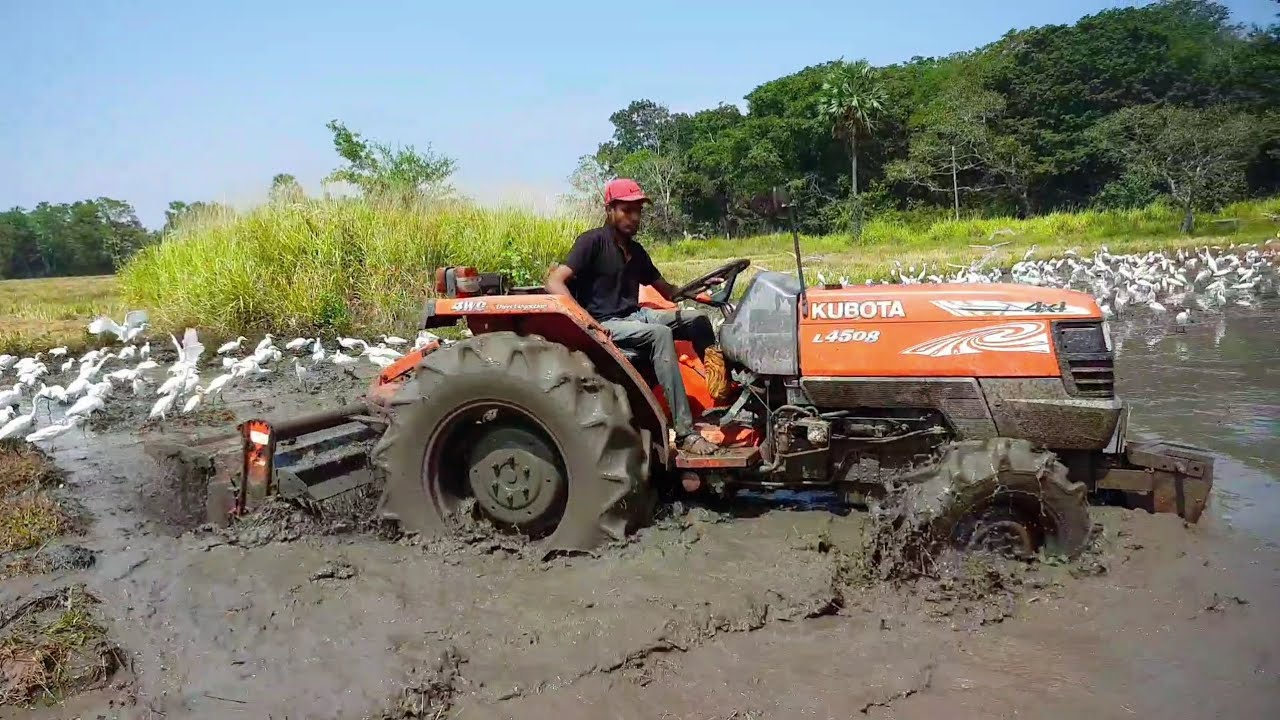 A video of Paddy Field plowing in the yala season🚜 - YouTube